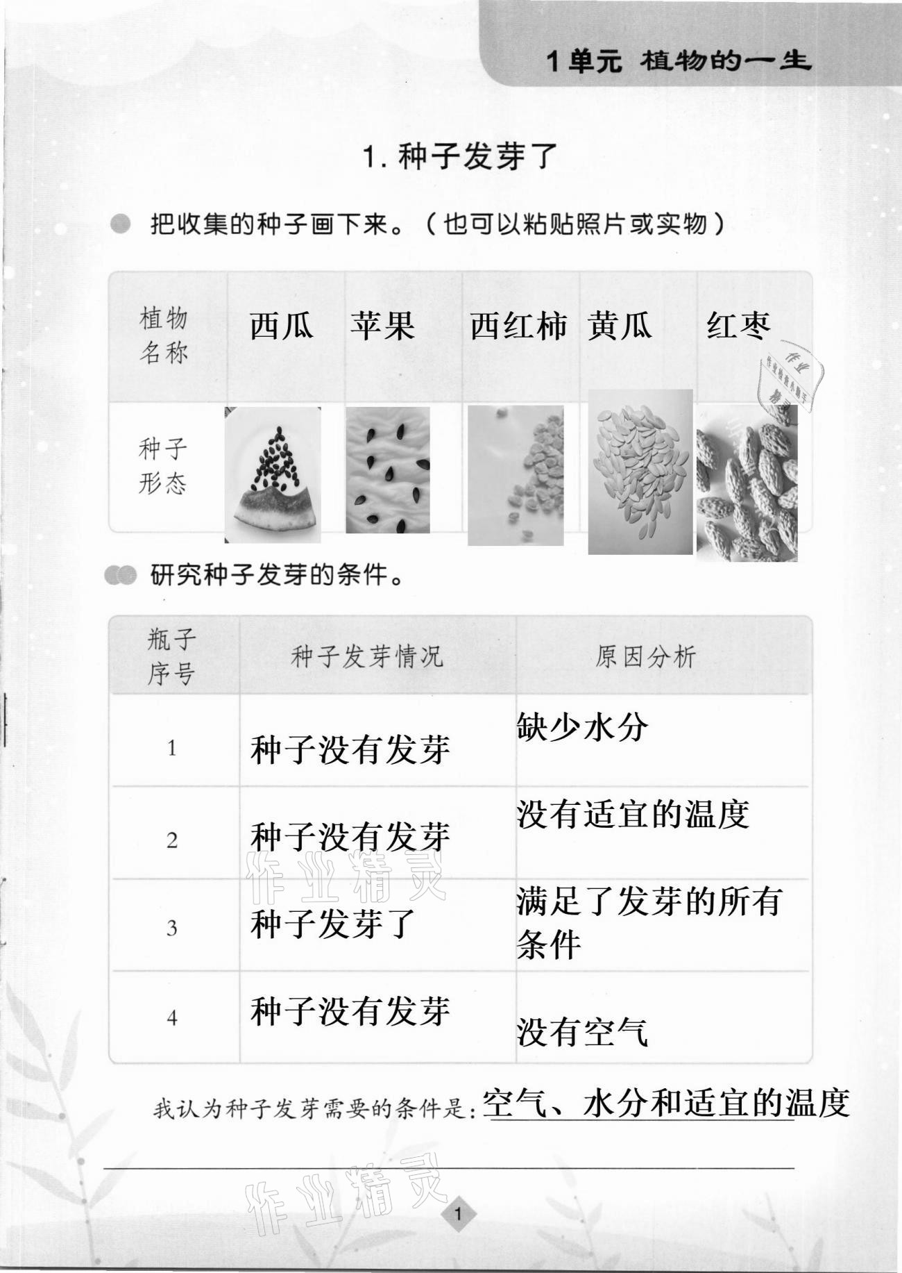 2021年学生活动手册三年级科学下册苏教版答案——青夏教育精英家教网——