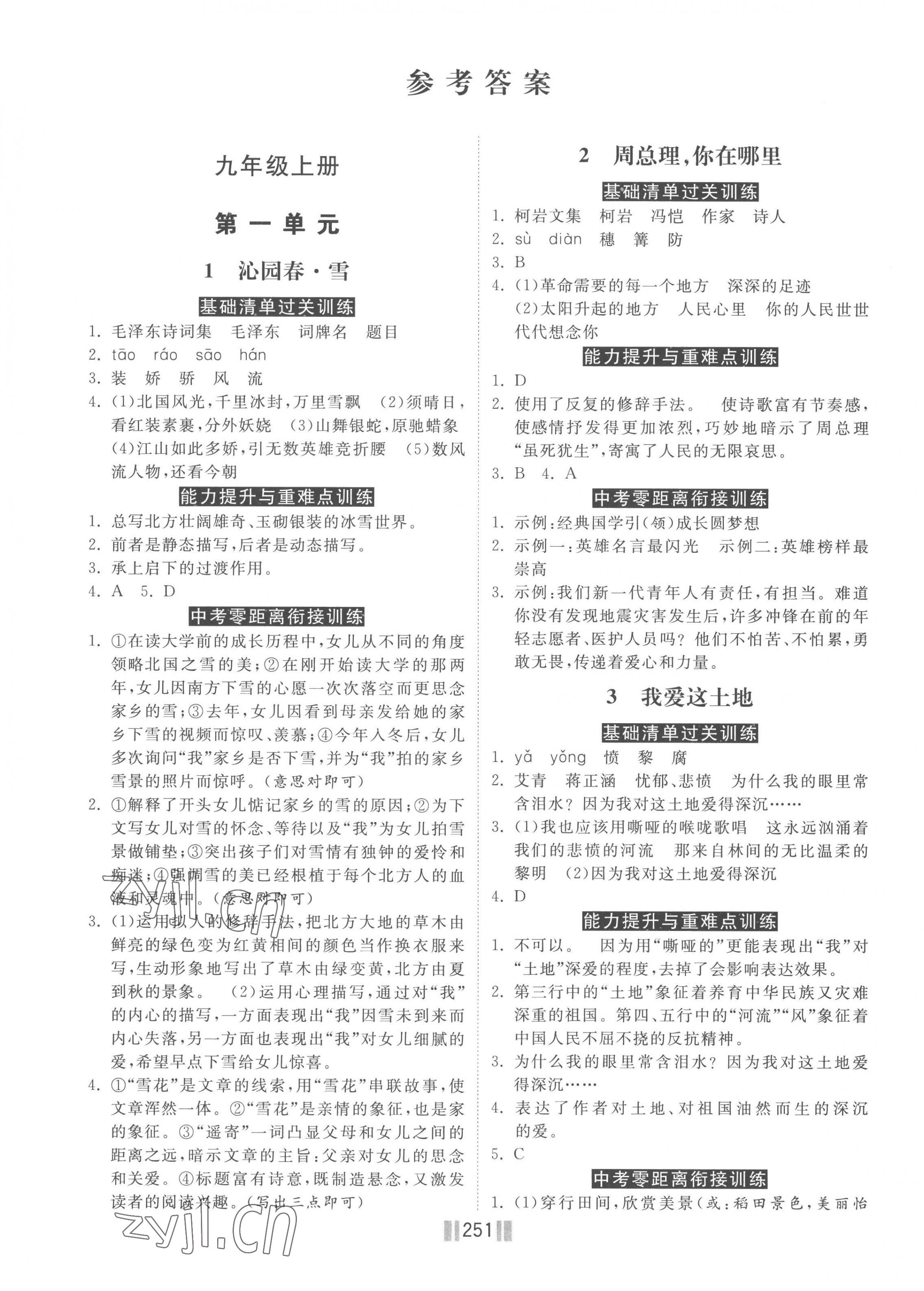 2022年赢在燕赵初中总复习课时练大提速九年级语文全一册人教版答案——青夏教育精英家教网——